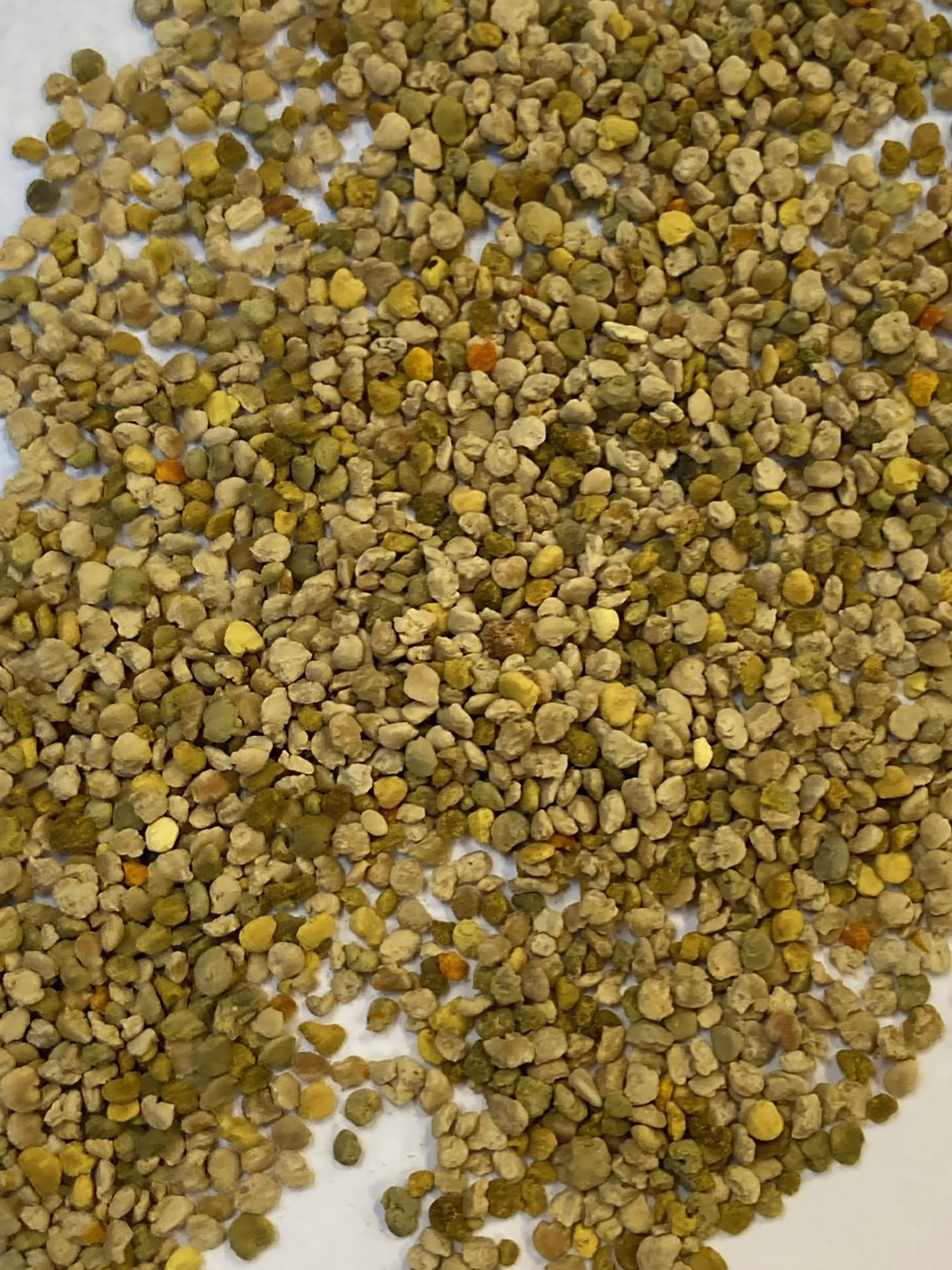 Identifying Pollen to Improve Honeybee Health - SARE Southern