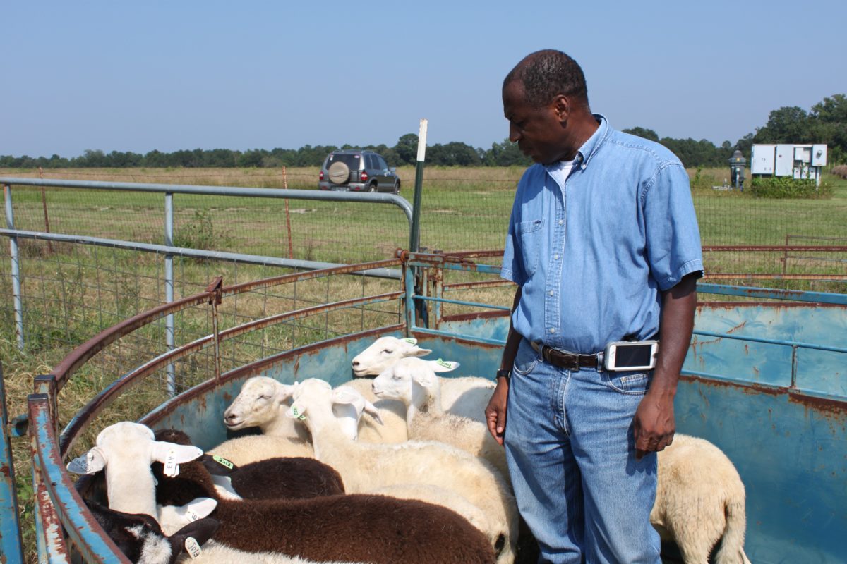 Southern SARE Home Page - SARE Southern