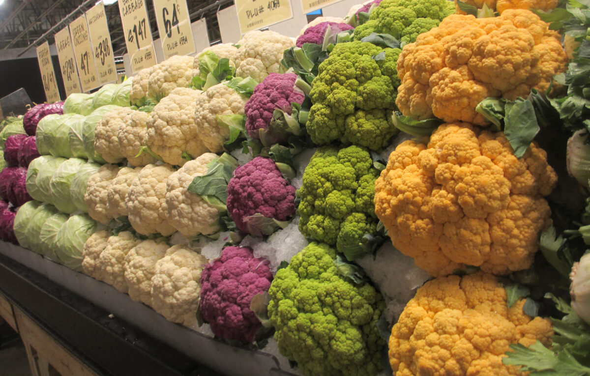 Regional News - SARE Southern