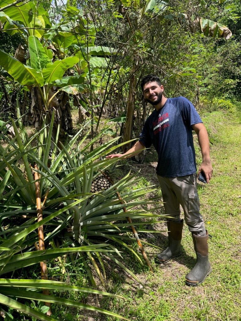 Can Indigenous Agricultural Methods of Puerto Rico Mitigate Erosion and ...