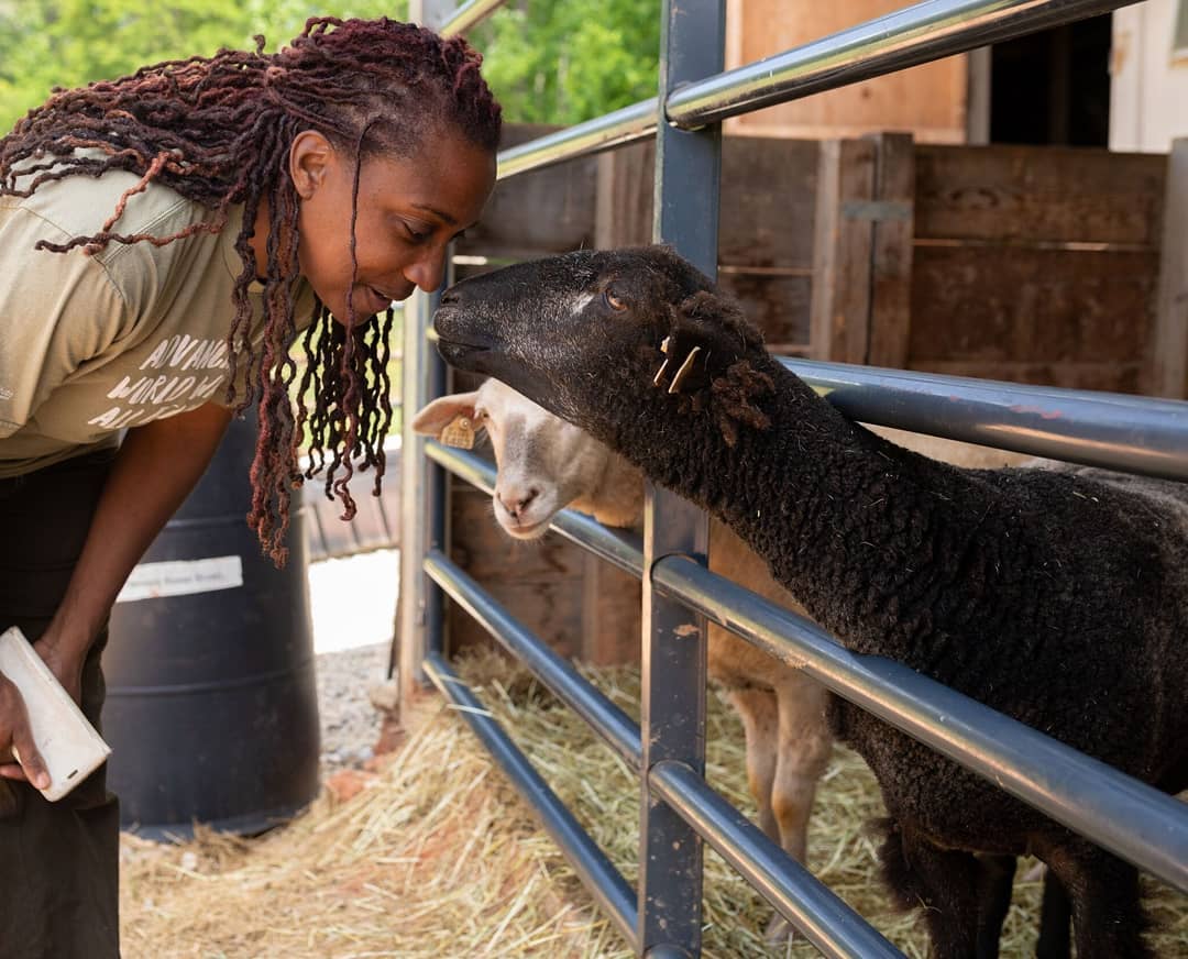 Regional News - SARE Southern