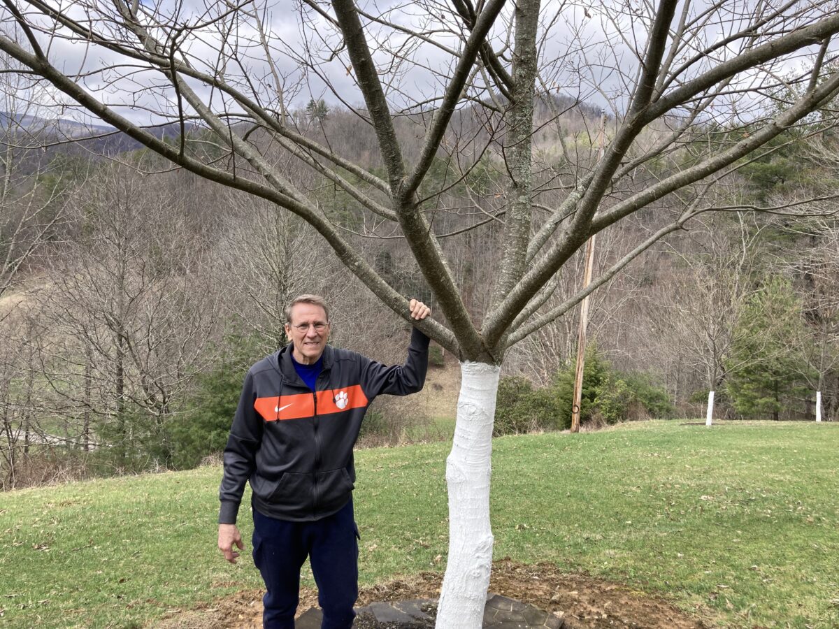 In Revitalizing the Chestnut Industry, a North Carolina Farmer is ...