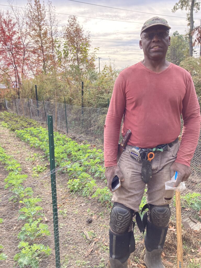 Using Native Plants as a Cover Crop for Soil and Vegetable Production ...