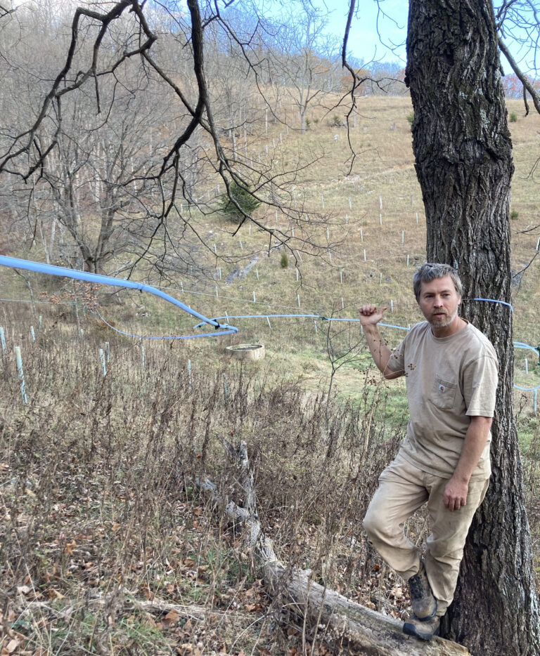 Getting the Most Sap from Each Tap in Black Walnut Syrup Production ...
