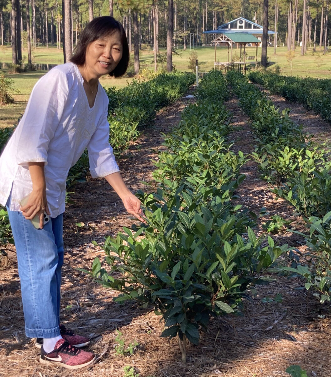 Southern SARE Home Page - SARE Southern