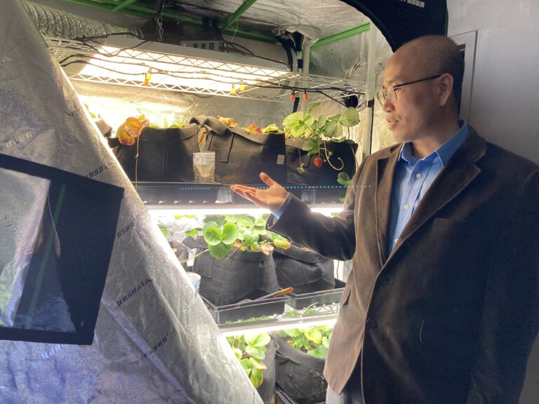 Using Automation for a More Sustainable Method of Weed Management ...